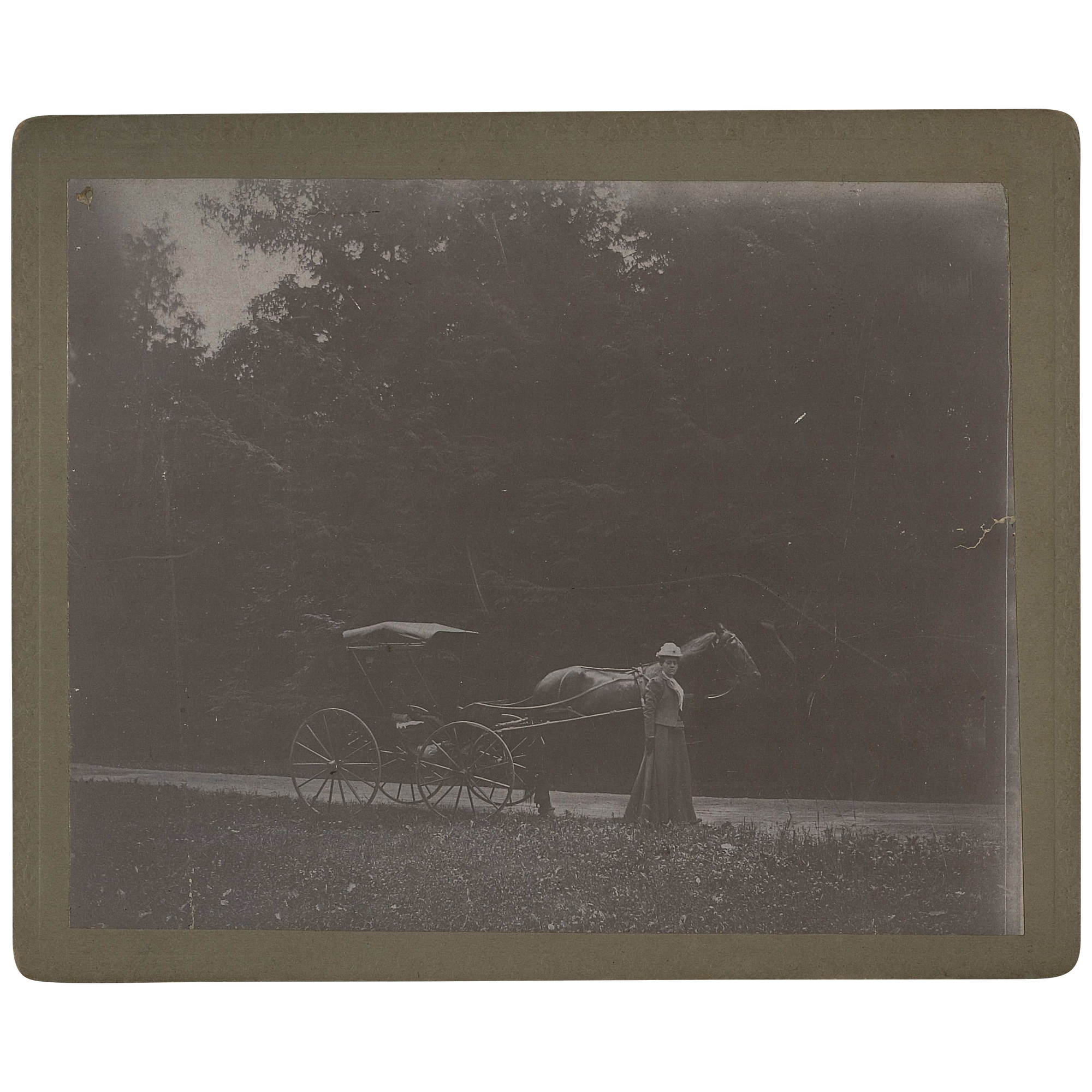 Photograph of Dr. Consuelo Clark Stewart with a Horse-and-Buggy | 19th ...